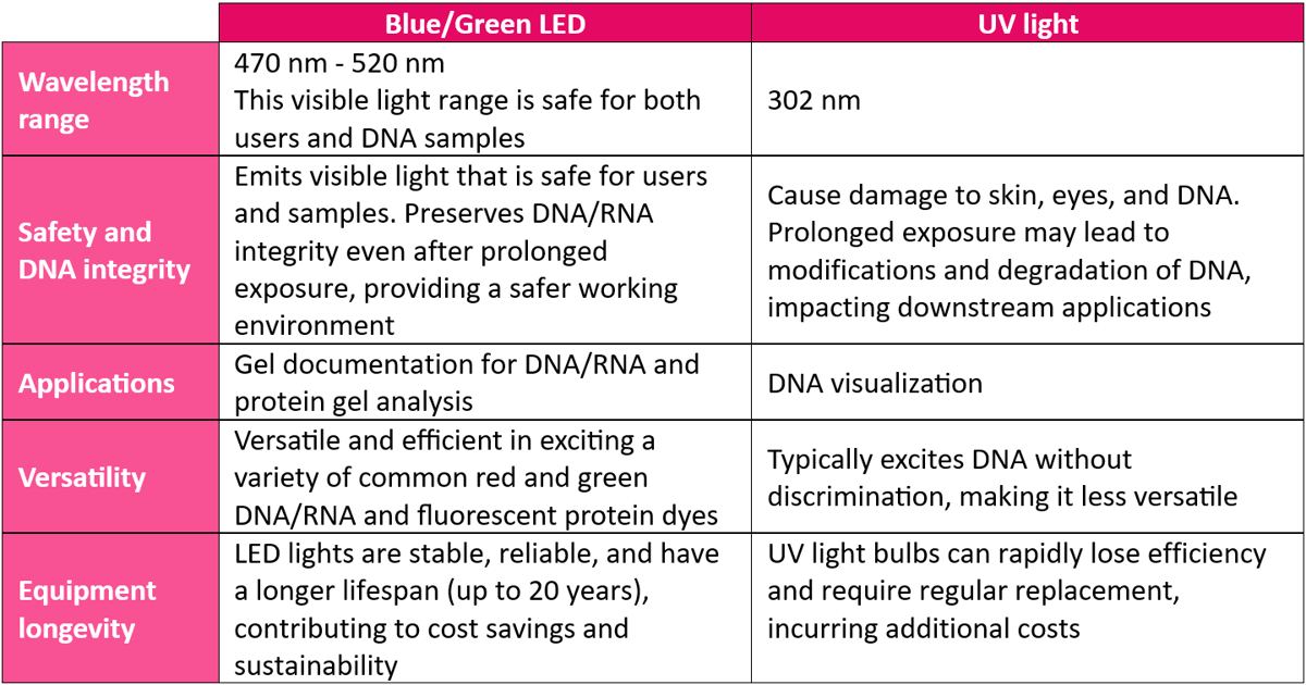 Lighting the way: exploring Blue/Green LED for safe gel documentation